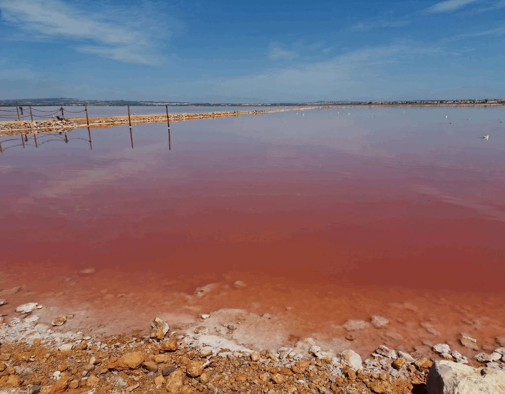 Top 10 Things To Do In Torrevieja: A Bucket List Of Must-Do Activities ...