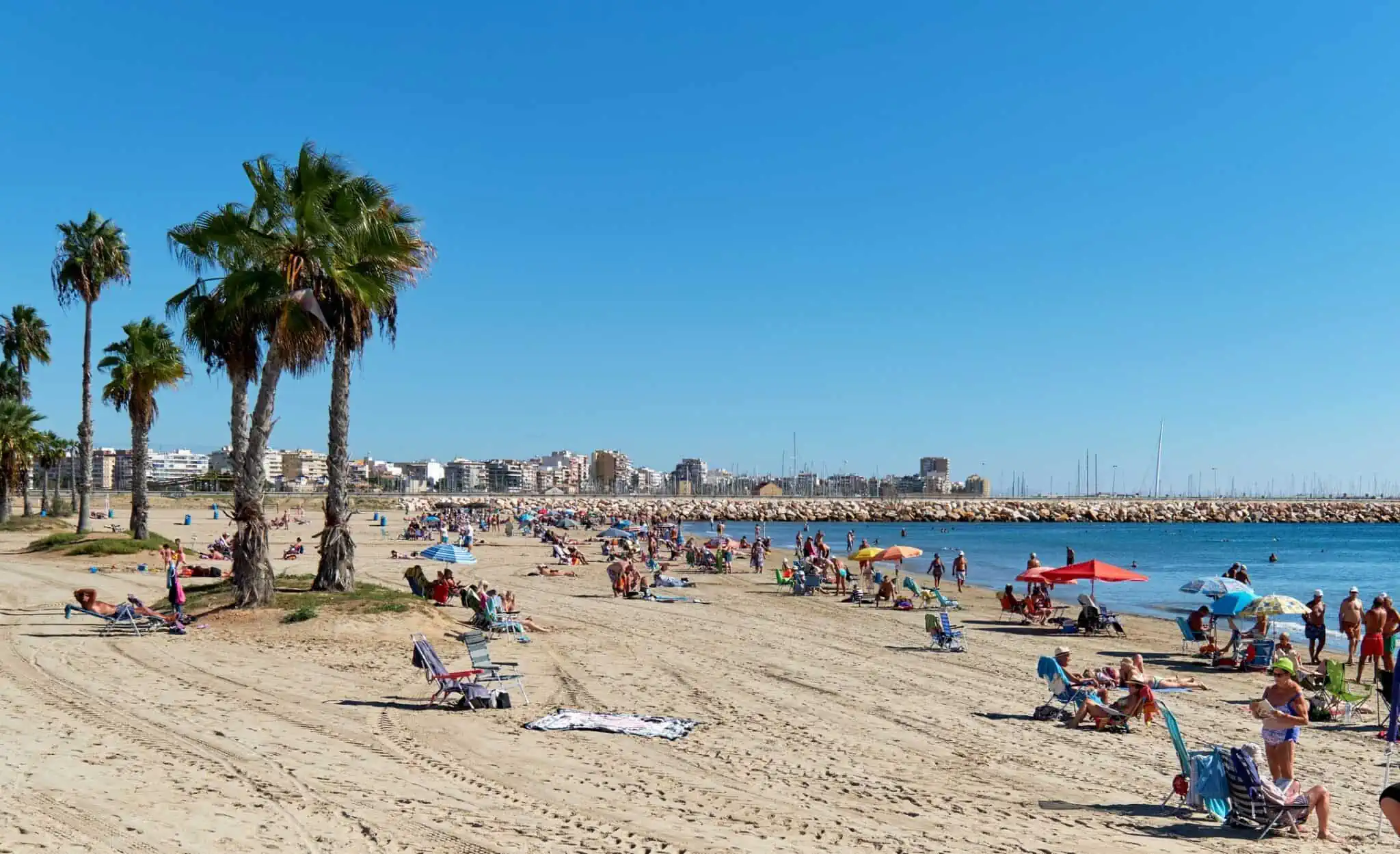 Algorfa • Movehappy